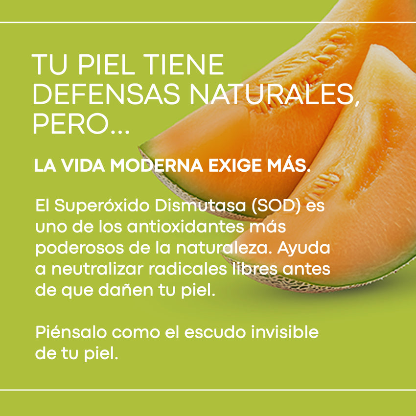 SODimel Suplemento Antioxidante | Reduce Estrés Oxidativo, Mejora Piel ...