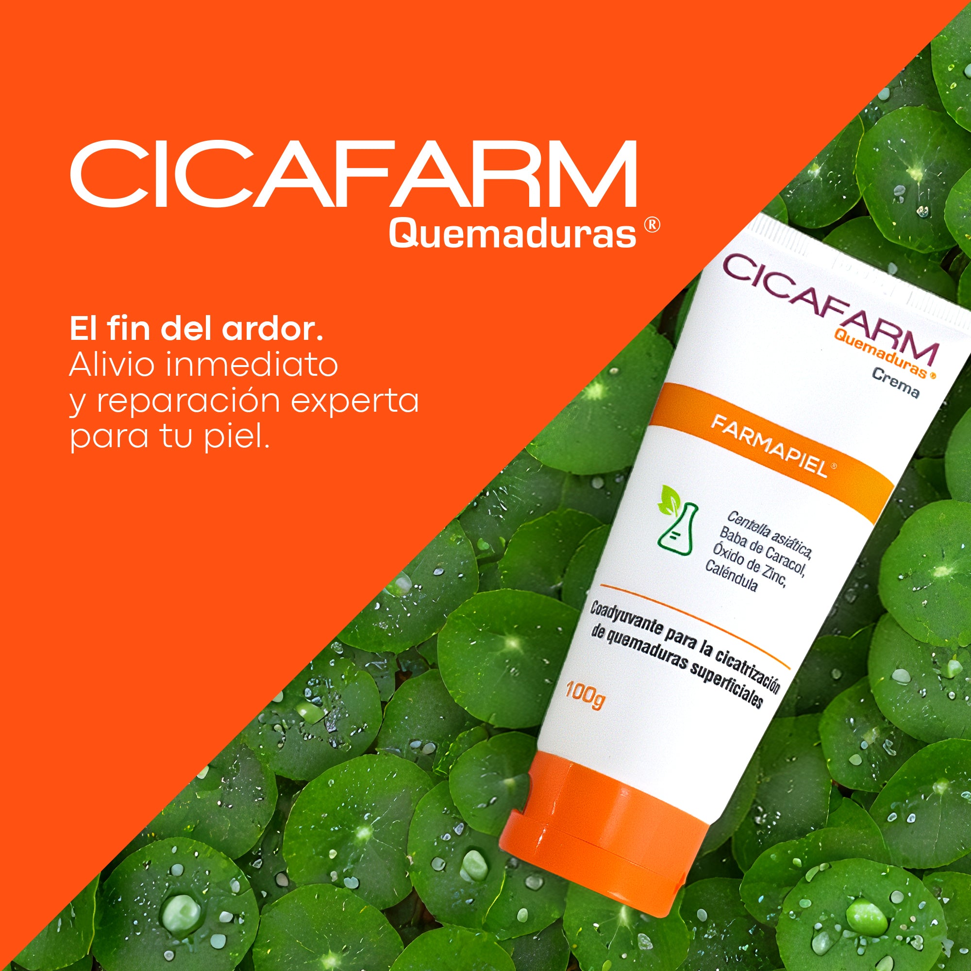 Cicafarm Q | Crema para Quemaduras, Rozaduras y Alivio de Irritación ...